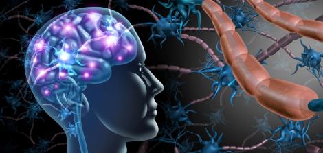 The Mina and Everard Goodman Faculty of Life Sciences | Bar-Ilan University