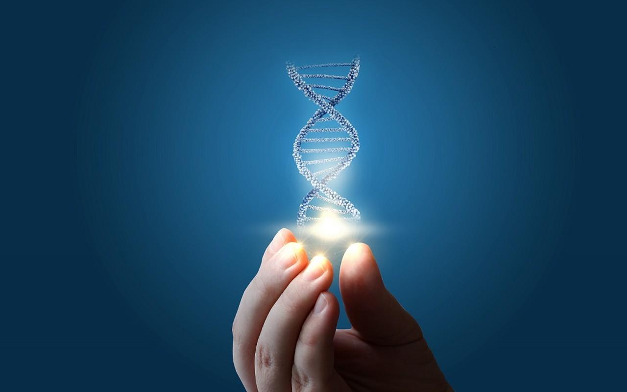 The Mina and Everard Goodman Faculty of Life Sciences | Bar-Ilan University