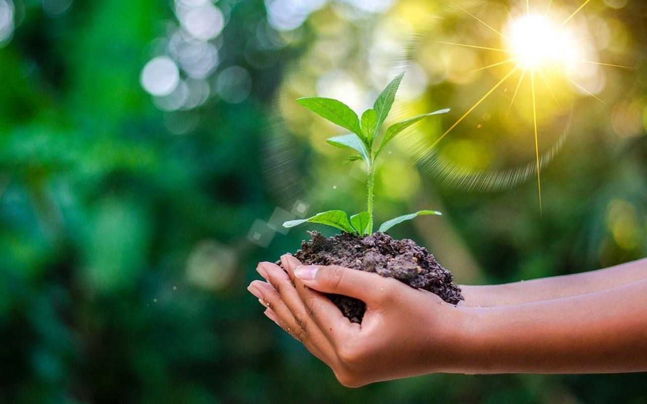 The Mina and Everard Goodman Faculty of Life Sciences | Bar-Ilan University